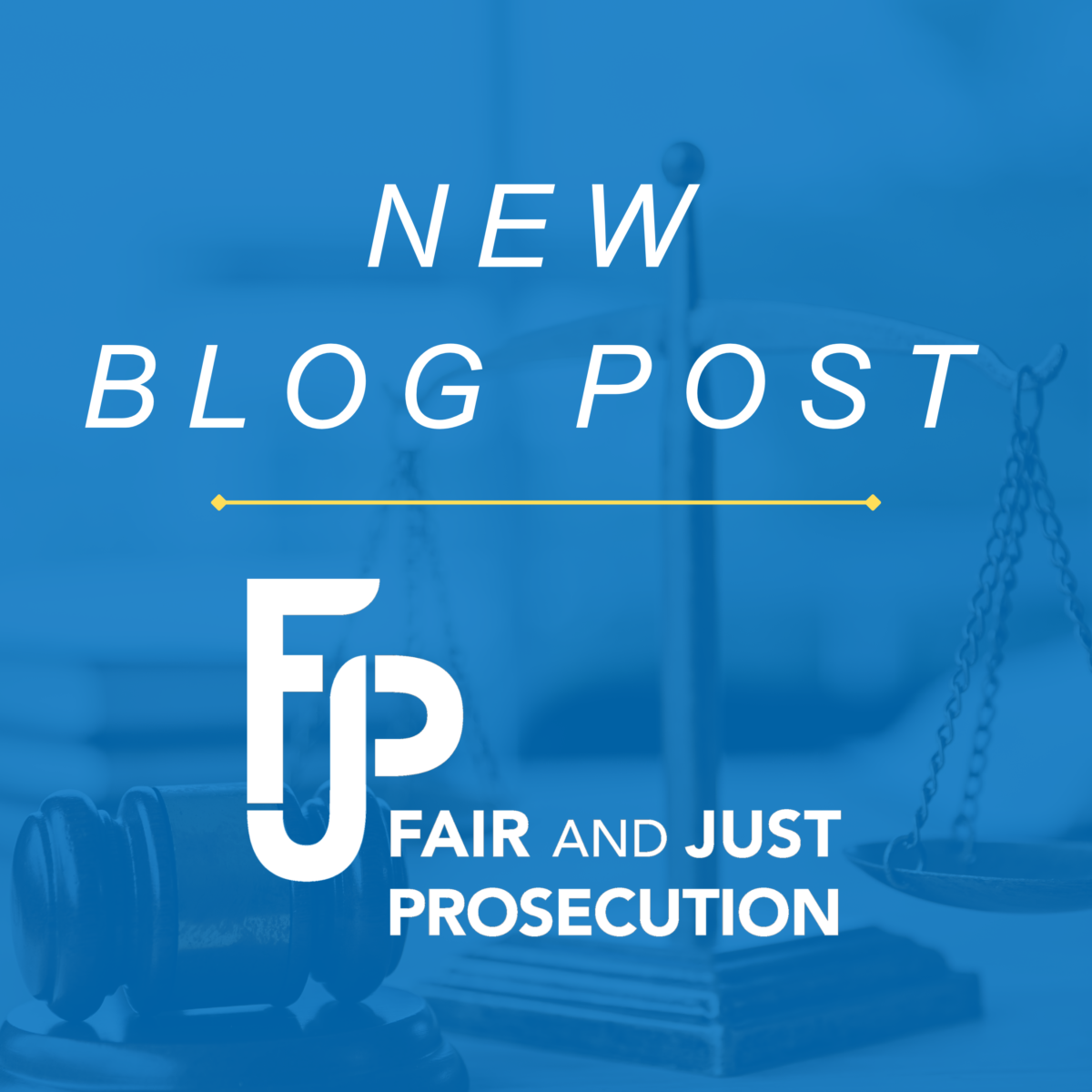 Visualizing Justice: My Full-Circle Moment as an FJP Summer Fellow in ...